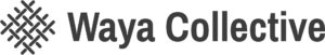 Waya Collective – Building a new wave of African consumer brands