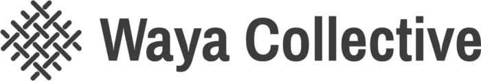 Waya Collective – Building a new wave of African consumer brands