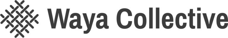 Waya Collective – Building a new wave of African consumer brands